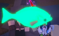 Halibut | Fisch Wiki | Fandom