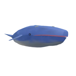 Blue Whale | Fisch Wiki | Fandom