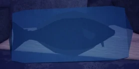 Halibut | Fisch Wiki | Fandom