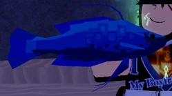 Longtail Bass | Fisch Wiki | Fandom