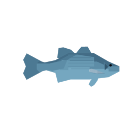 White Bass | Fisch Wiki | Fandom
