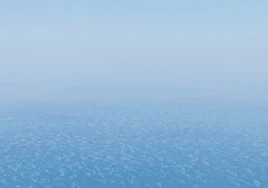 Open Ocean | Fisch Wiki | Fandom