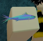 Spiderfish | Fisch Wiki | Fandom