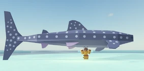 Whale Shark | Fisch Wiki | Fandom