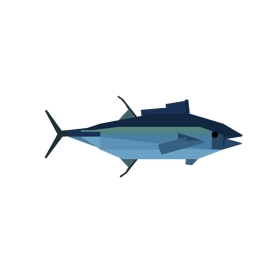 Yellowfin Tuna | Fisch Wiki | Fandom