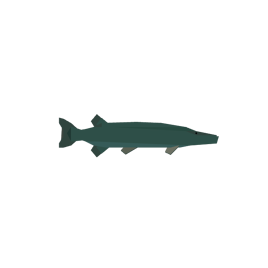 Pike | Fisch Wiki | Fandom