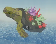 Tartaruga | Fisch Wiki | Fandom