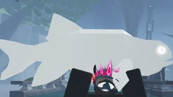 Amblypterus | Fisch Wiki | Fandom