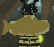 Grey Carp | Fisch Wiki | Fandom