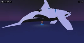 Orca | Fisch Wiki | Fandom