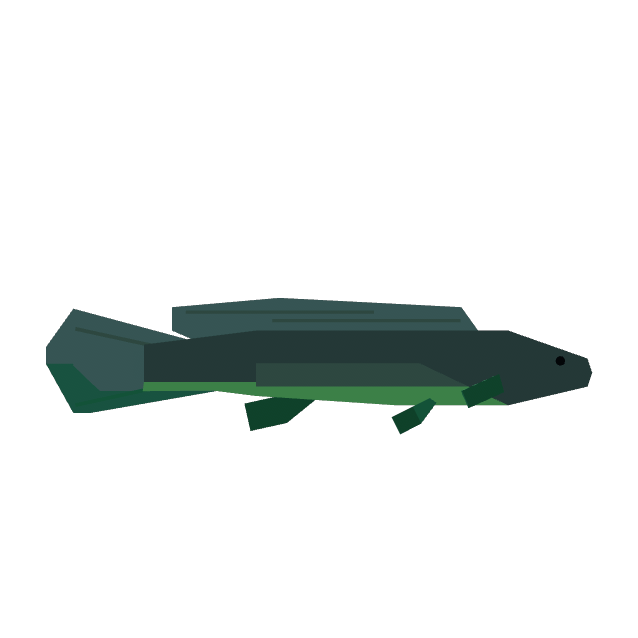 Bowfin | Fisch Wiki | Fandom