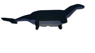 Nessie | Fisch Wiki | Fandom