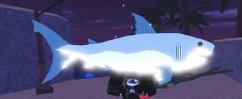 Ginsu Shark | Fisch Wiki | Fandom