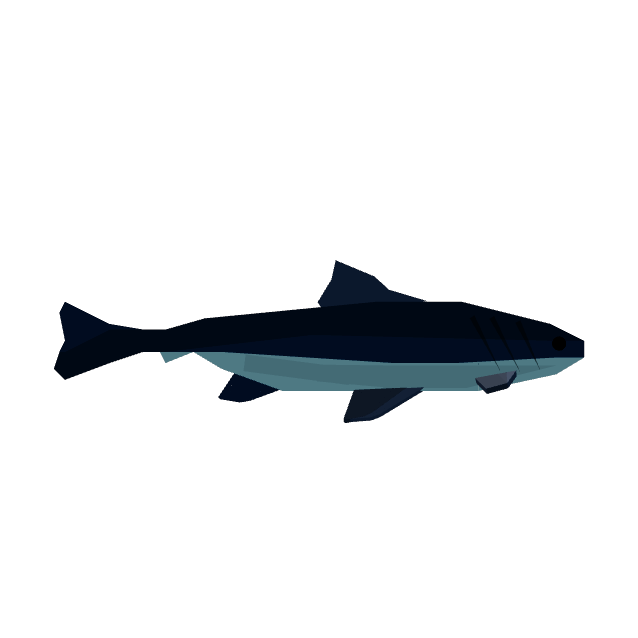 Cobia | Fisch Wiki | Fandom