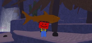 Ginsu Shark | Fisch Wiki | Fandom