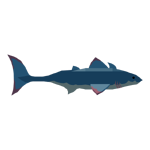 Ancient Isle | Fisch Wiki | Fandom