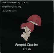 Magnet | Fisch Wiki | Fandom