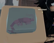 Shrimp (Fish) | Fisch Wiki | Fandom