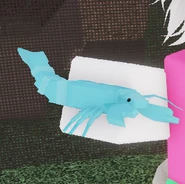 Lobster | Fisch Wiki | Fandom