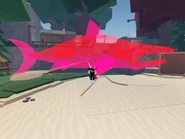 Helicoprion | Fisch Wiki | Fandom