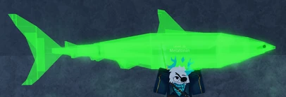 Bull Shark | Fisch Wiki | Fandom