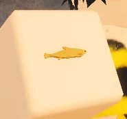 Minnow | Fisch Wiki | Fandom