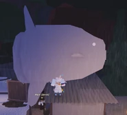 Sunfish | Fisch Wiki | Fandom