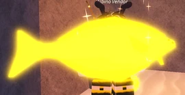 Halibut | Fisch Wiki | Fandom