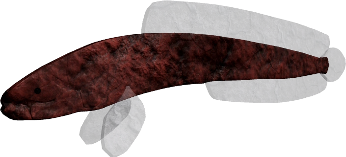 Gollum Snakehead | Fisch Wiki | Fandom