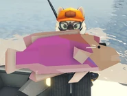 Napoleonfish | Fisch Wiki | Fandom