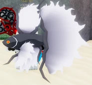 Burnt Betta | Fisch Wiki | Fandom