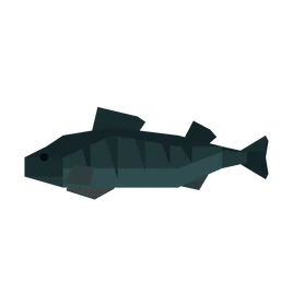 Perch | Fisch Wiki | Fandom