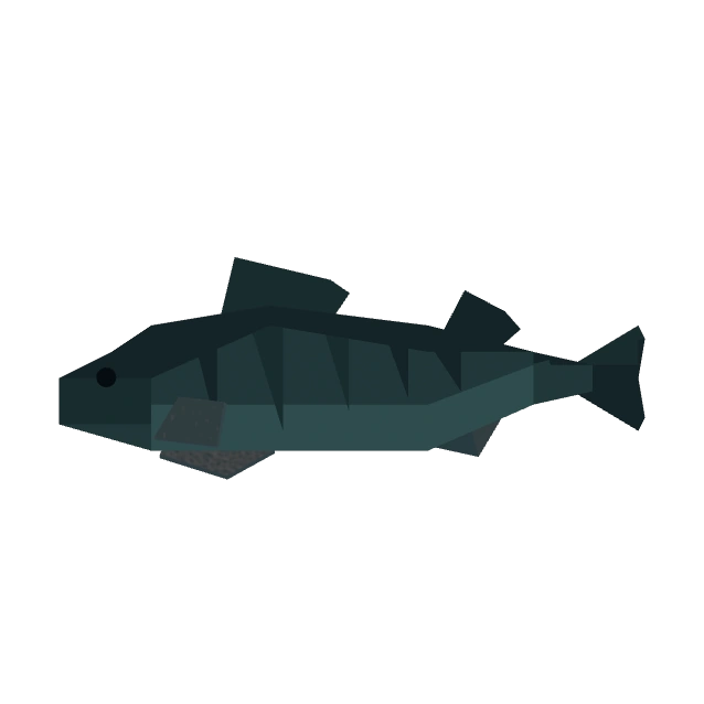 Perch | Fisch Wiki | Fandom