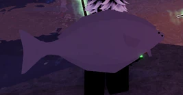 Halibut | Fisch Wiki | Fandom