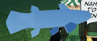 Coelacanth | Fisch Wiki | Fandom