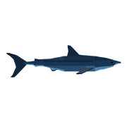 Fish Head | Fisch Wiki | Fandom