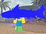 Confetti Shark | Fisch Wiki | Fandom