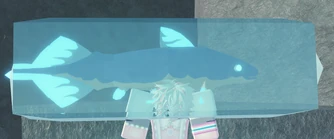 Diplurus | Fisch Wiki | Fandom