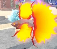 Burnt Betta | Fisch Wiki | Fandom