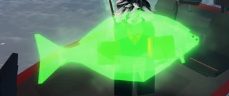 Halibut | Fisch Wiki | Fandom