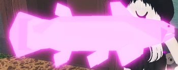 Coelacanth | Fisch Wiki | Fandom