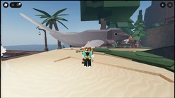 Beluga | Fisch Wiki | Fandom