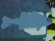 White Bass | Fisch Wiki | Fandom