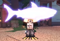 Ginsu Shark | Fisch Wiki | Fandom