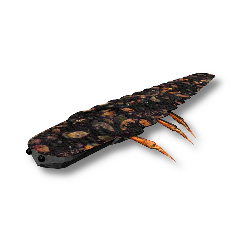 Glowworm | Fisch Wiki | Fandom