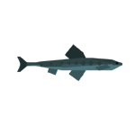 Terrapin Island | Fisch Wiki | Fandom