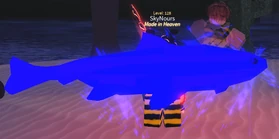 Cobia | Fisch Wiki | Fandom