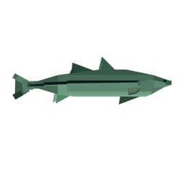 Snook | Fisch Wiki | Fandom