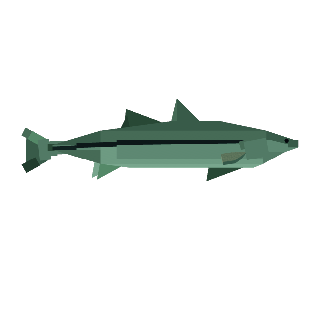 Snook | Fisch Wiki | Fandom