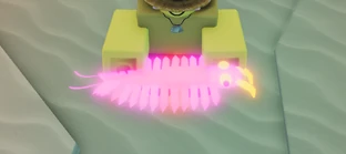 Anomalocaris | Fisch Wiki | Fandom